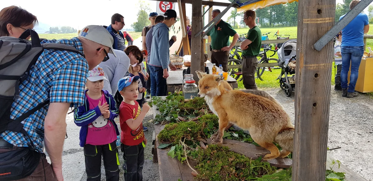 GEO-Tag der Natur 2021 rund um den Bürgenstock | Umweltberatung Luzern