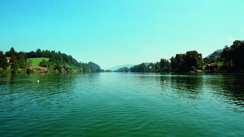 Rundgang durch die Naturarena Rotsee | Umweltberatung Luzern