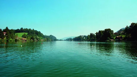 Rundgang durch die Naturarena Rotsee | Umweltberatung Luzern