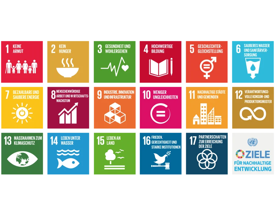 Ziele für nachhaltige Entwicklung der UNO | Umweltberatung Luzern